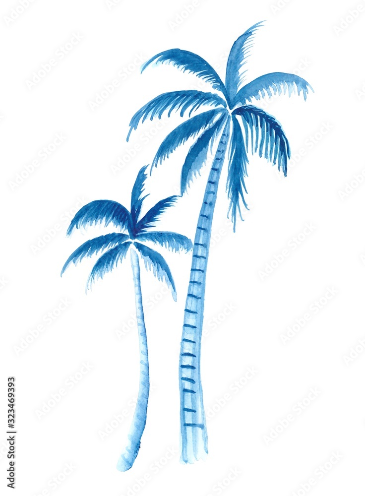 hand drawn blue palm tree watercolor illustration, isolated nature on ...