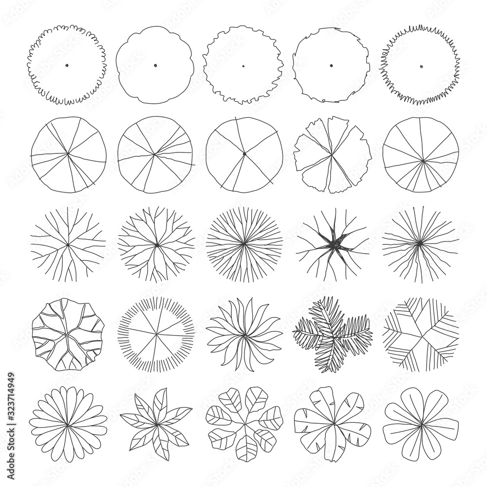 25 Set of free hand drawn doodle Plan view tree for landscape plan. Can ...