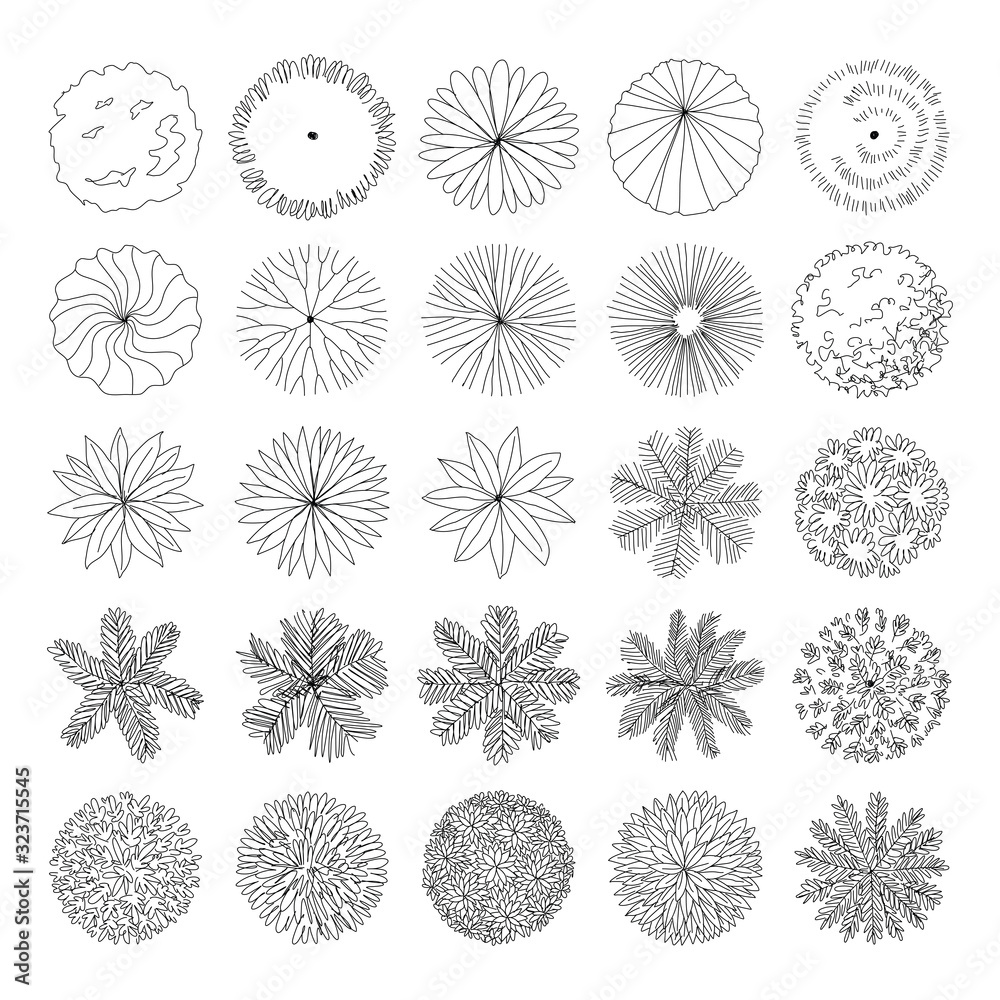 25 Set of free hand drawn doodle Plan view tree for landscape plan. Can ...