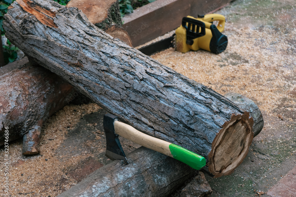 Workspace working to cut firewood with a chainsaw and an ax stuck in a ...