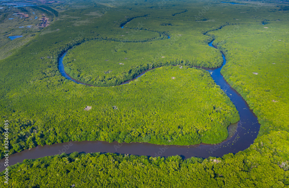 Foto Mangrove, La Tovara National Park, Ramsar Site, Wetlands of ...