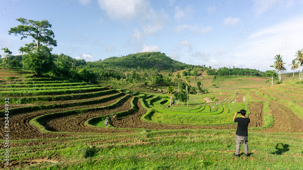 Beautiful view of Mareje Lombok's traditional fields. A nature walk in ...