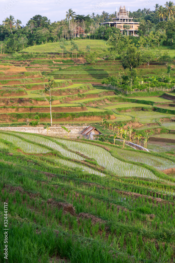 Beautiful view of Mareje Lombok's traditional fields. A nature walk in ...