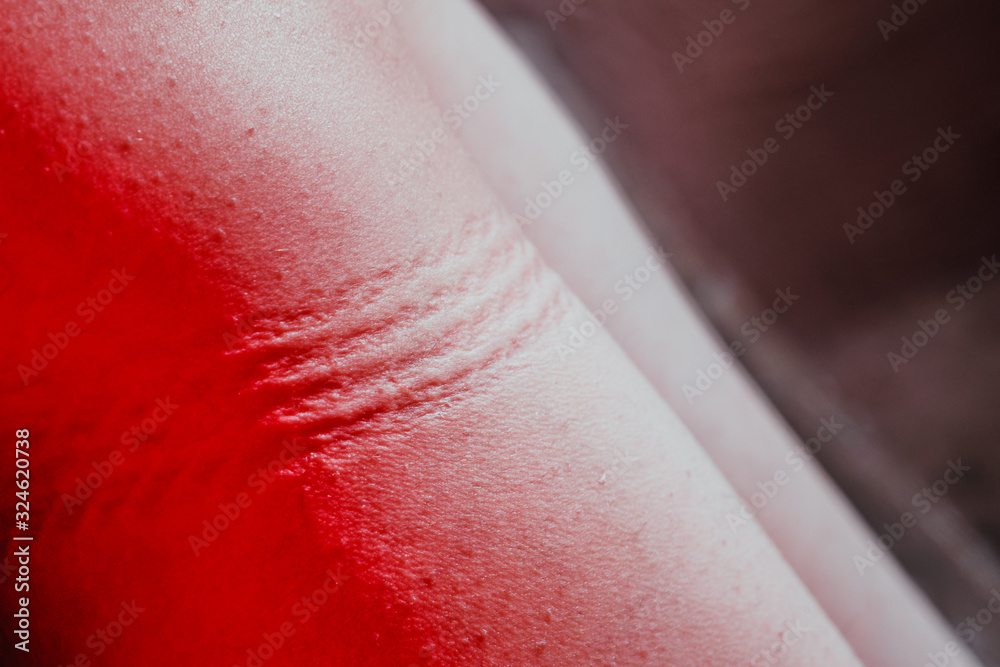Model and Japanese Bondage Art - Shibari Stock Photo | Adobe Stock
