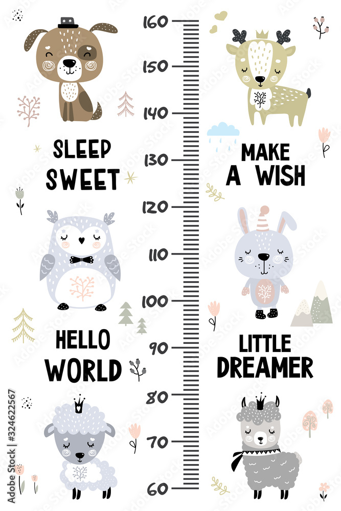 Kids height chart. Cute and funny doodle animals. Growth chart in ...
