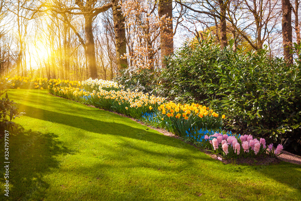 Sunrise beam in the beautiful park. Spring Nature scene. Beautiful ...