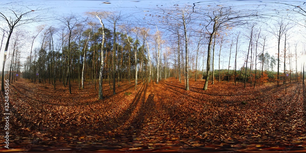 Autumn forest HDRI Panorama Stock Photo | Adobe Stock