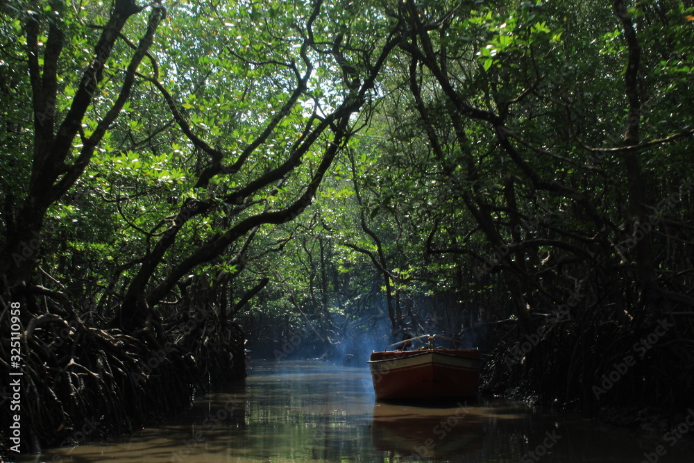 Boating through a dense and dark forest near the Mud Volcano, Baratang ...