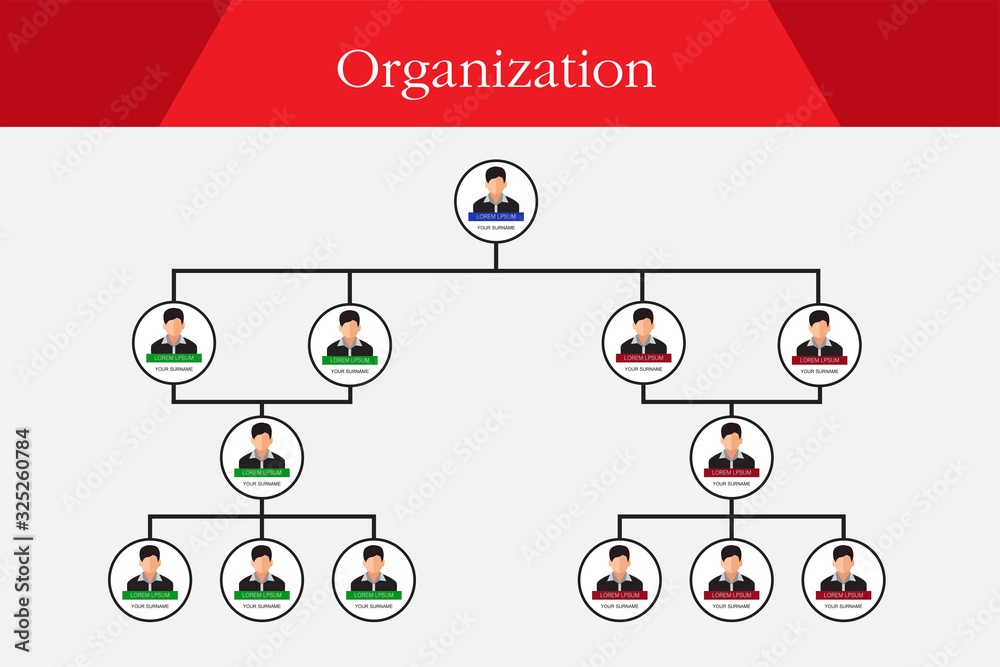 Organization Chart Infographics Stock Vector | Adobe Stock