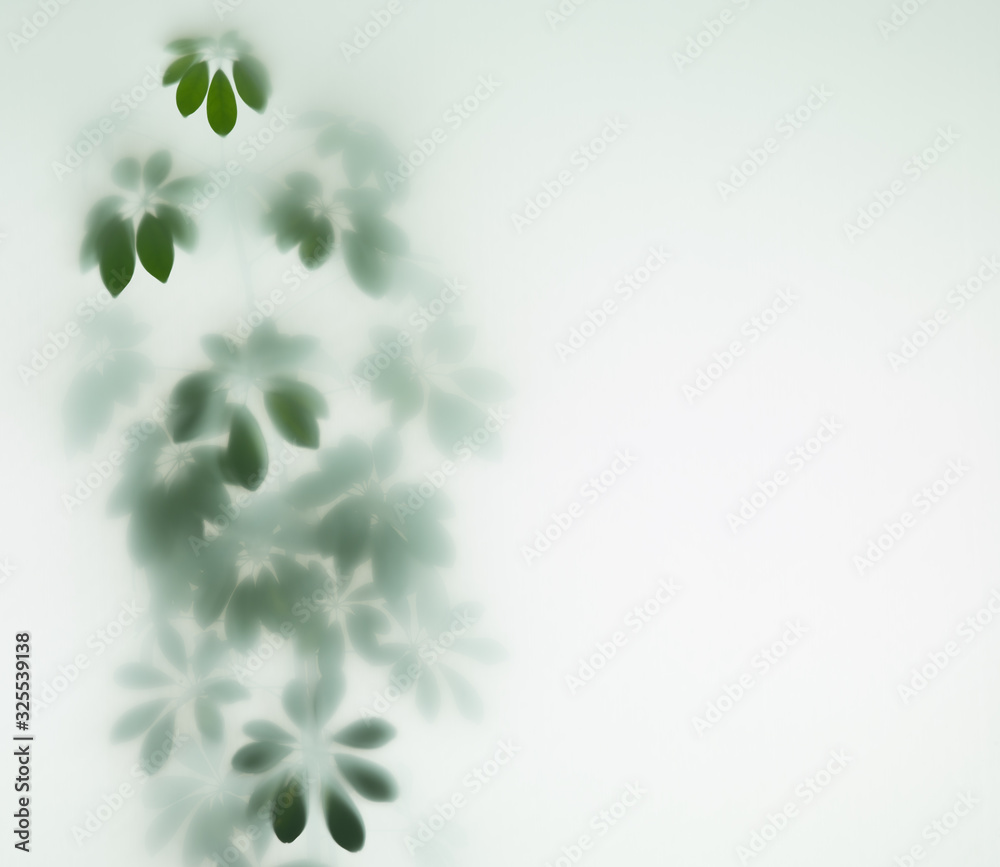 abstract blurred leaves Stock Photo | Adobe Stock