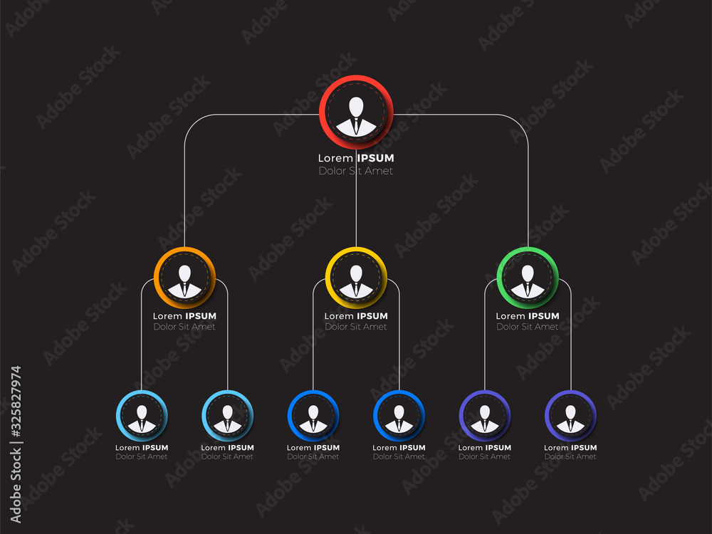 organizational structure of the company. business hierarchy infographic ...
