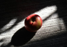 Apple With Shadow Free Stock Photo - Public Domain Pictures