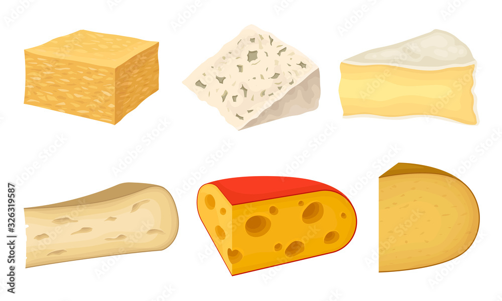 Vector de Stock Cheese Types with Blue Cheese and Swiss Cheese Slabs ...