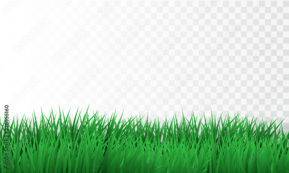 Green grass border on transparent background. Vector Illustration Stock ...