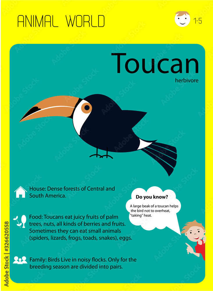 Cartoon toucan. Habitat, nutrition, useful information about bird ...