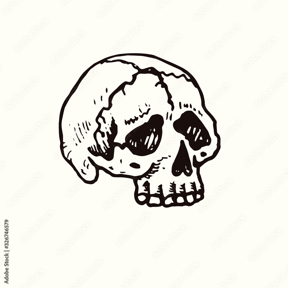 Human skull front view, hand drawn doodle, drawing, sketch illustration ...