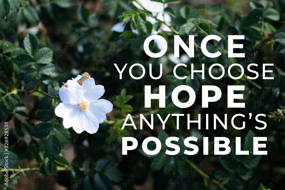 Once you choose hope anything is possible Stock Photo | Adobe Stock