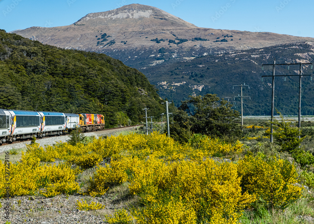 train ride with tranz alpine express in the mountains Stock Photo ...