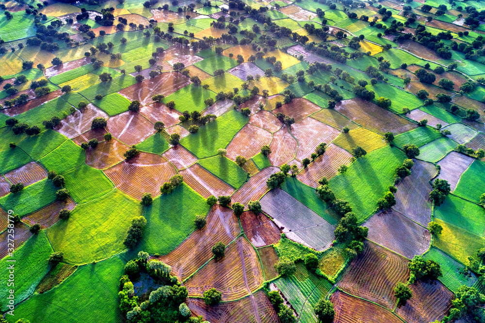aerial view of rice fields in Mekong Delta, Tri Ton town, An Giang ...