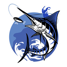 Blue Marlin Stock De Foto Gratis Public Domain Pictures