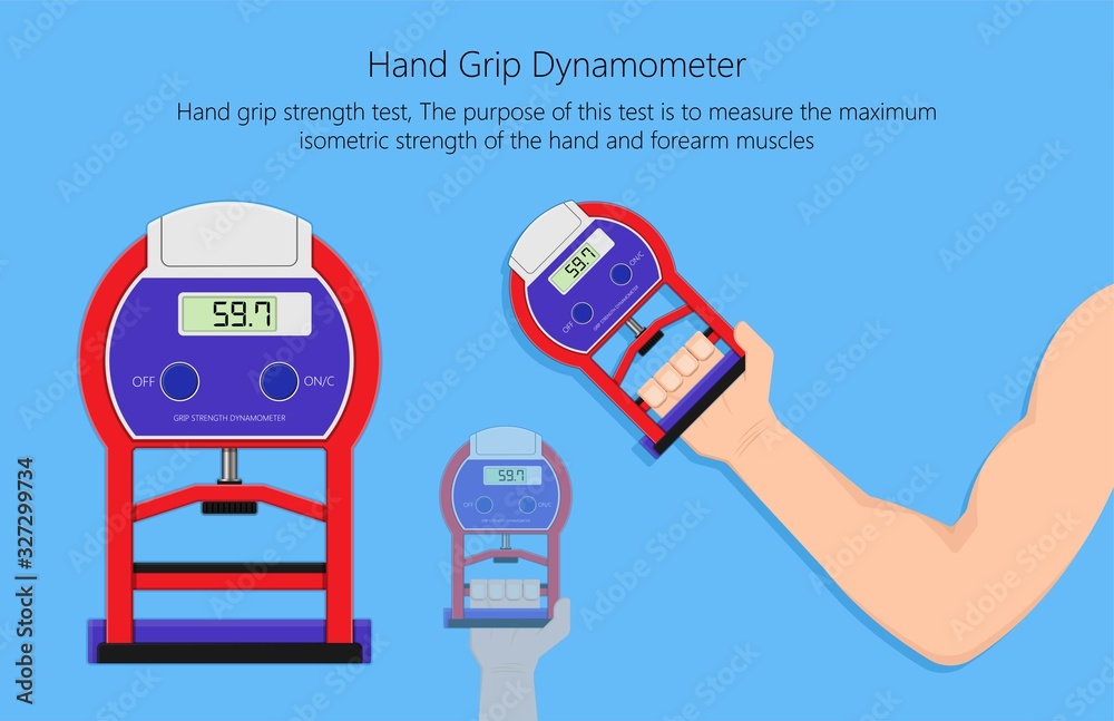 Handgrip Muscle Strength Scale Dynamometer Testing measure therapist ...