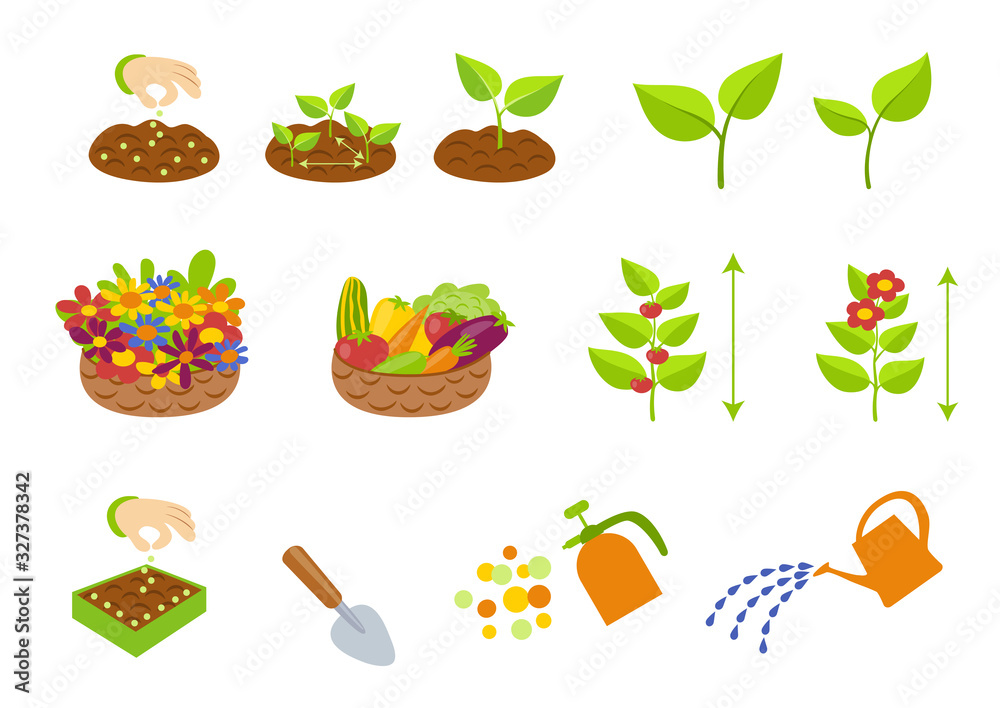 Infographic element collection. Creation set for plant growth stages ...
