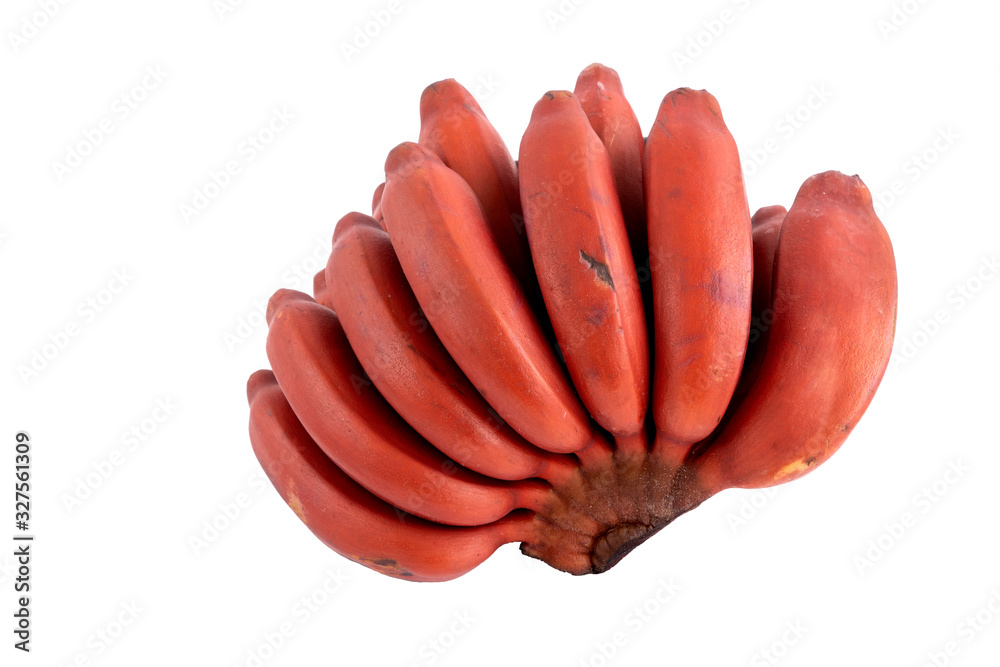 fresh red banana isolated on white background. group of varieties of ...