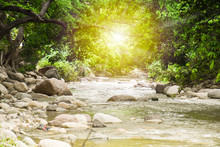 Water Running Downstream Free Stock Photo - Public Domain Pictures