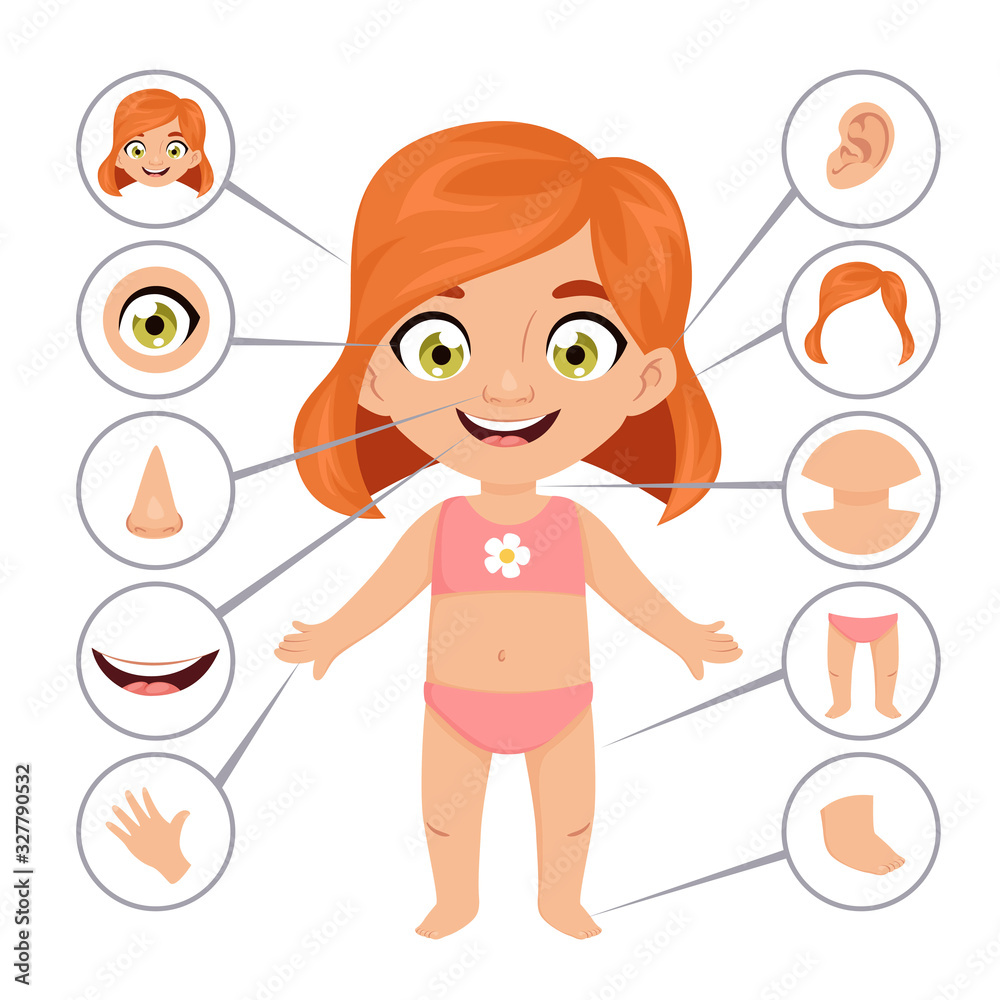 Baby or child body parts school educational poster Stock Vector | Adobe ...