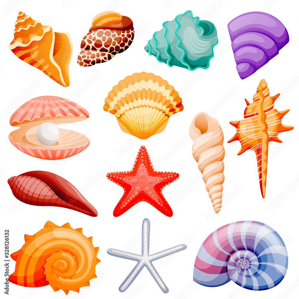 Seashells collection. Vector flat cartoon illustration. Summer travel ...