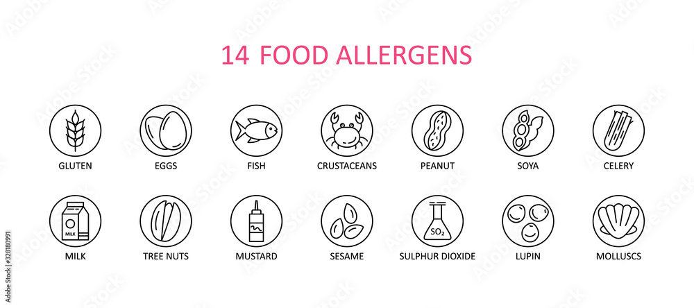 14 round food allergens icon. Vector set of 14 icons. Collection ...