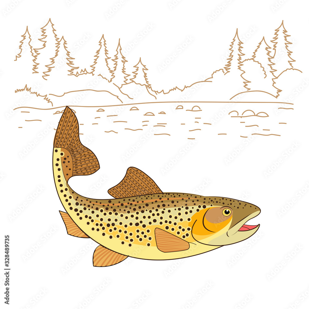 Fishing emote. Brown Trout Fish Realistic drawing Vector illustration ...