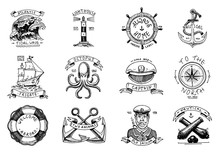Vintage Frog Captain Free Stock Photo - Public Domain Pictures