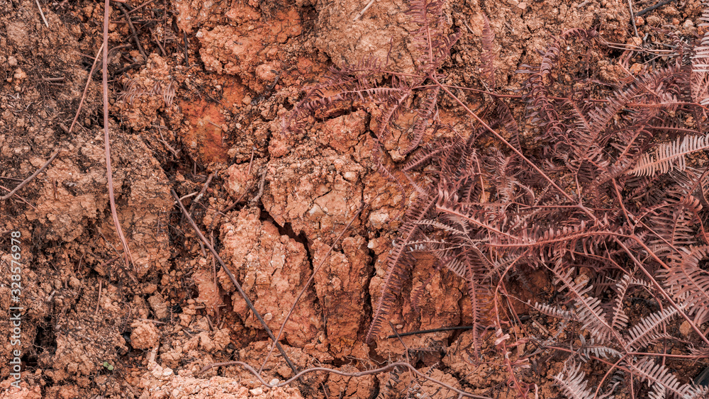 Dry soil texture for rough theme background wallpapers. Macro ...