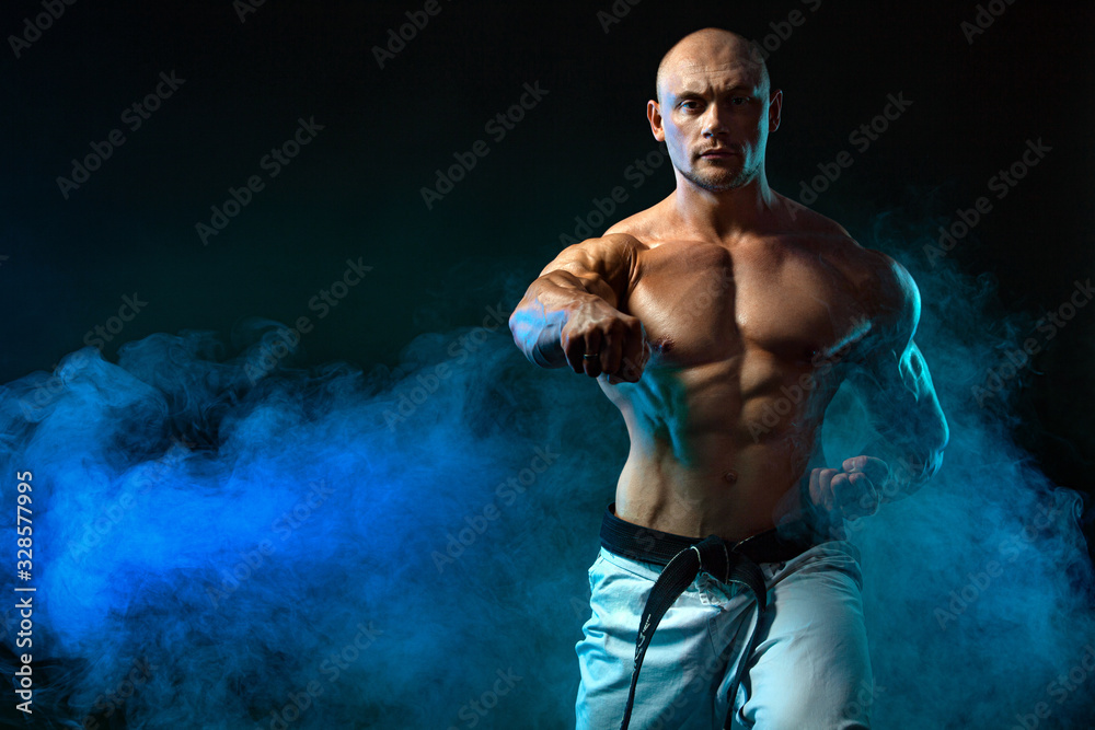 Karate or taekwondo fighter on black background with smoke. Fit man ...
