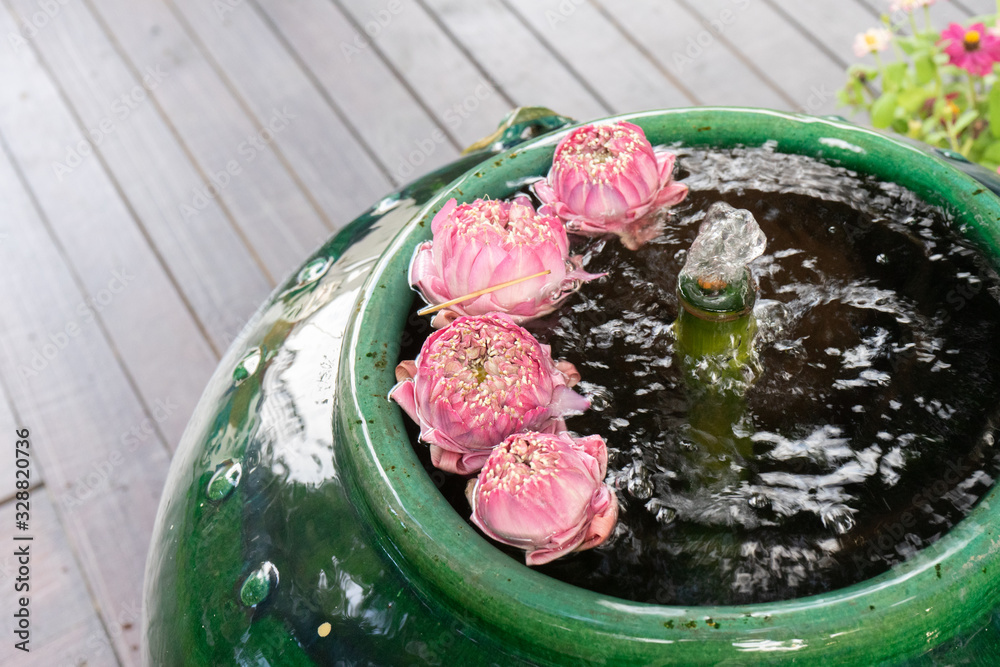 Foto Pink fold lotus are flow on water surface in big green vintage ja ...