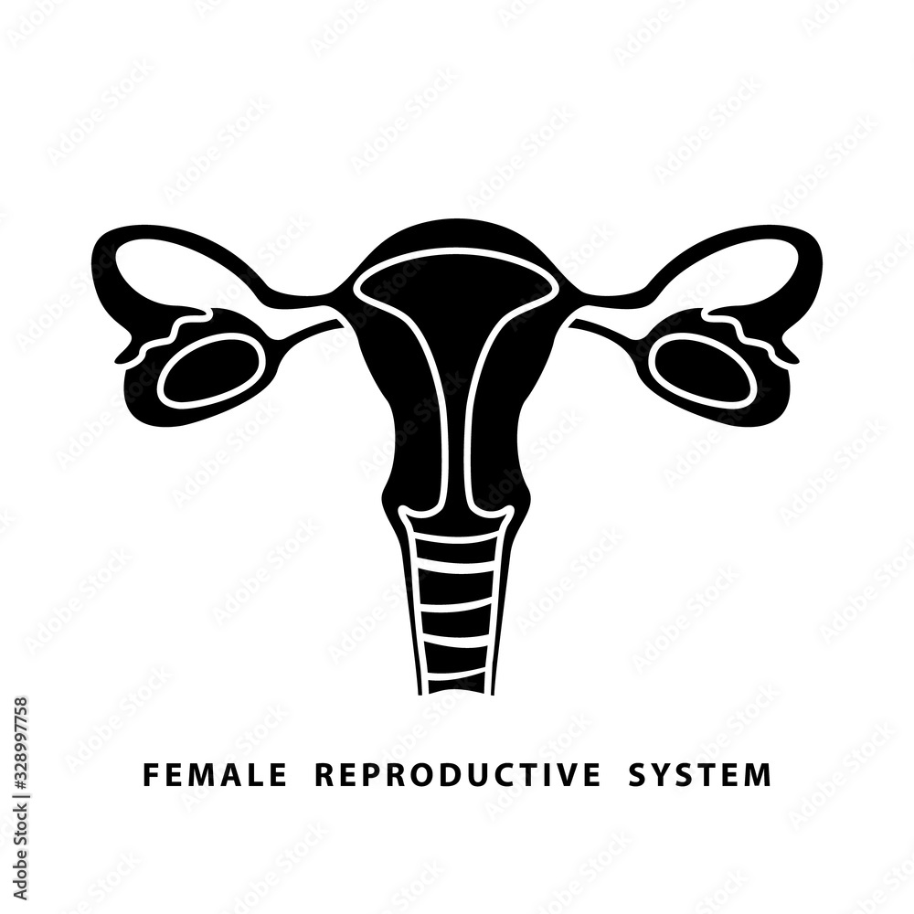 Cutout silhouette Female reproductive system icon. Outline template for ...