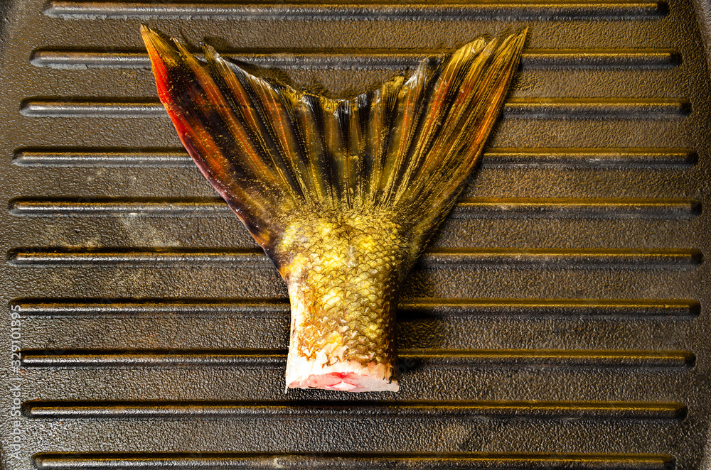 colored pike tail in a grill pan. fresh fishcolored pike tail in a ...