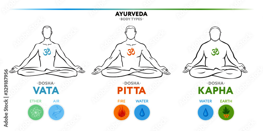 Vetor Vata, pitta, and kapha doshas. Ectomorph, mesomorph and endomorph ...