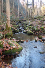 Small Stream Free Stock Photo - Public Domain Pictures