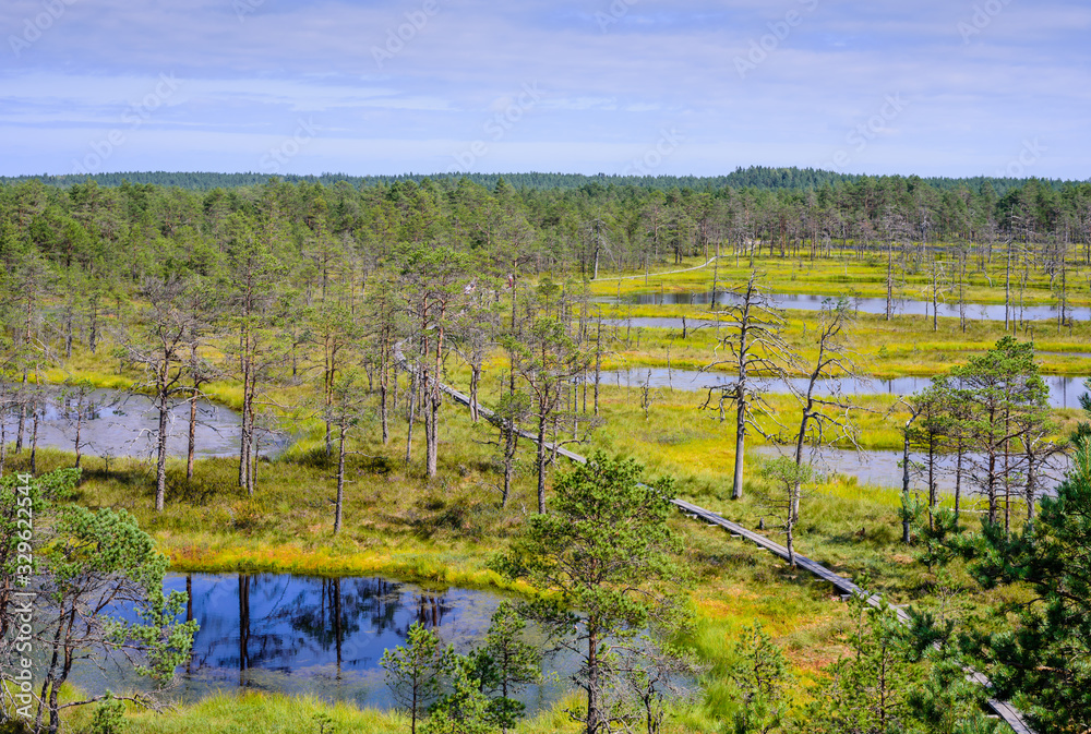 Viru bog (Viru Raba) in Lahemaa national Park, a popular natural ...