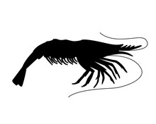 Live Shrimp Sign Free Stock Photo - Public Domain Pictures