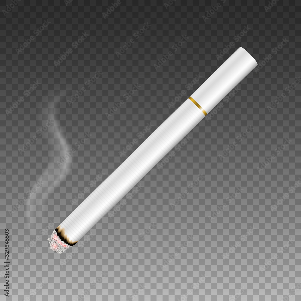 Vector 3d Realistic White Clear Blank Whole Lit Cigarette with Smoke ...