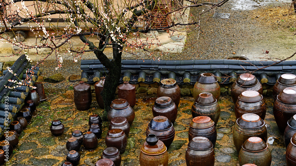 Korean jars of various forms and sizes Stock Photo | Adobe Stock