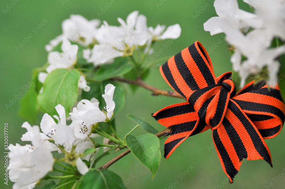 Victory day is a spring holiday. A bow of St. George's ribbon on a ...