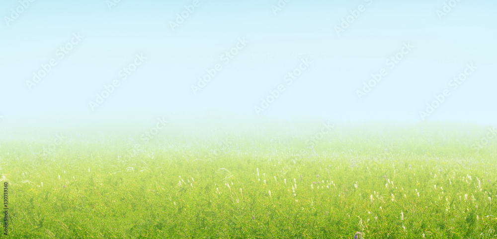 Summer Landscape. Nature horizontal background. Stock Photo | Adobe Stock