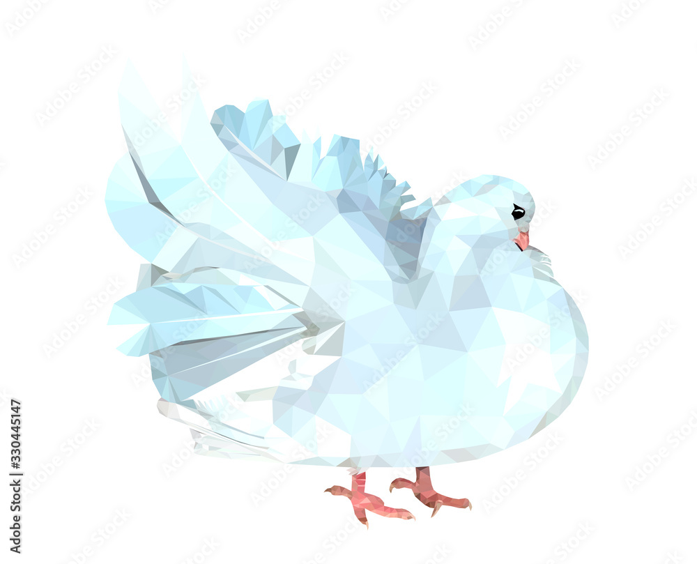 White dove pigeon low poly triangular vector illustration isolated on ...