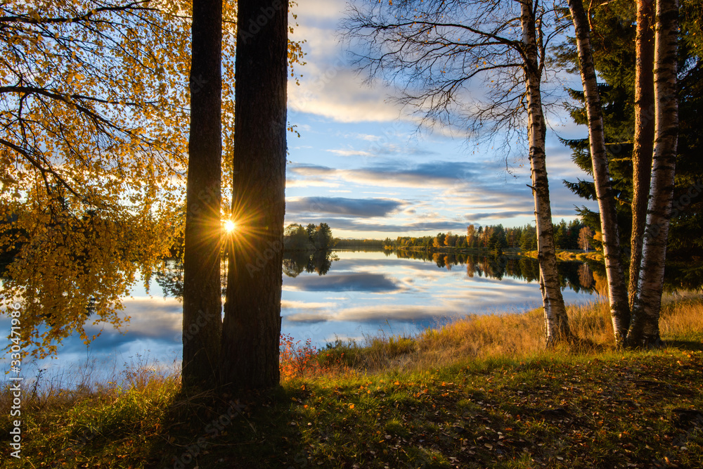Sun shining through tree in front of river. Dalarna, Sweden Stock Photo ...