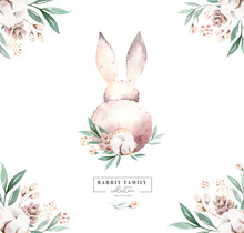 Spring Bunny Free Stock Photo - Public Domain Pictures