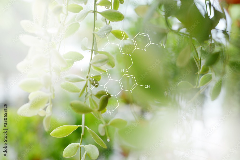 Biology laboratory nature and science, Plants with biochemistry structure on green background ...